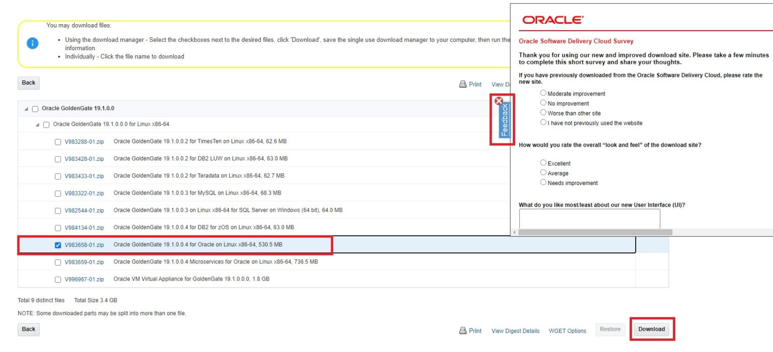 Installation Of Oracle Goldengate 19c For Oracle Database 19c On Rhel 7 Oracle Scn