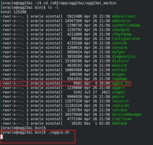 Oracle GoldenGate 23ai Microservices – Installation - ORACLE-SCN
