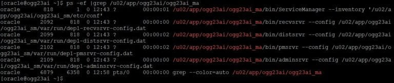 Oracle GoldenGate 23ai Microservices – Installation - ORACLE-SCN